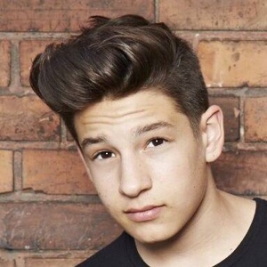 Stagelink - Your fan-powered tour promoter